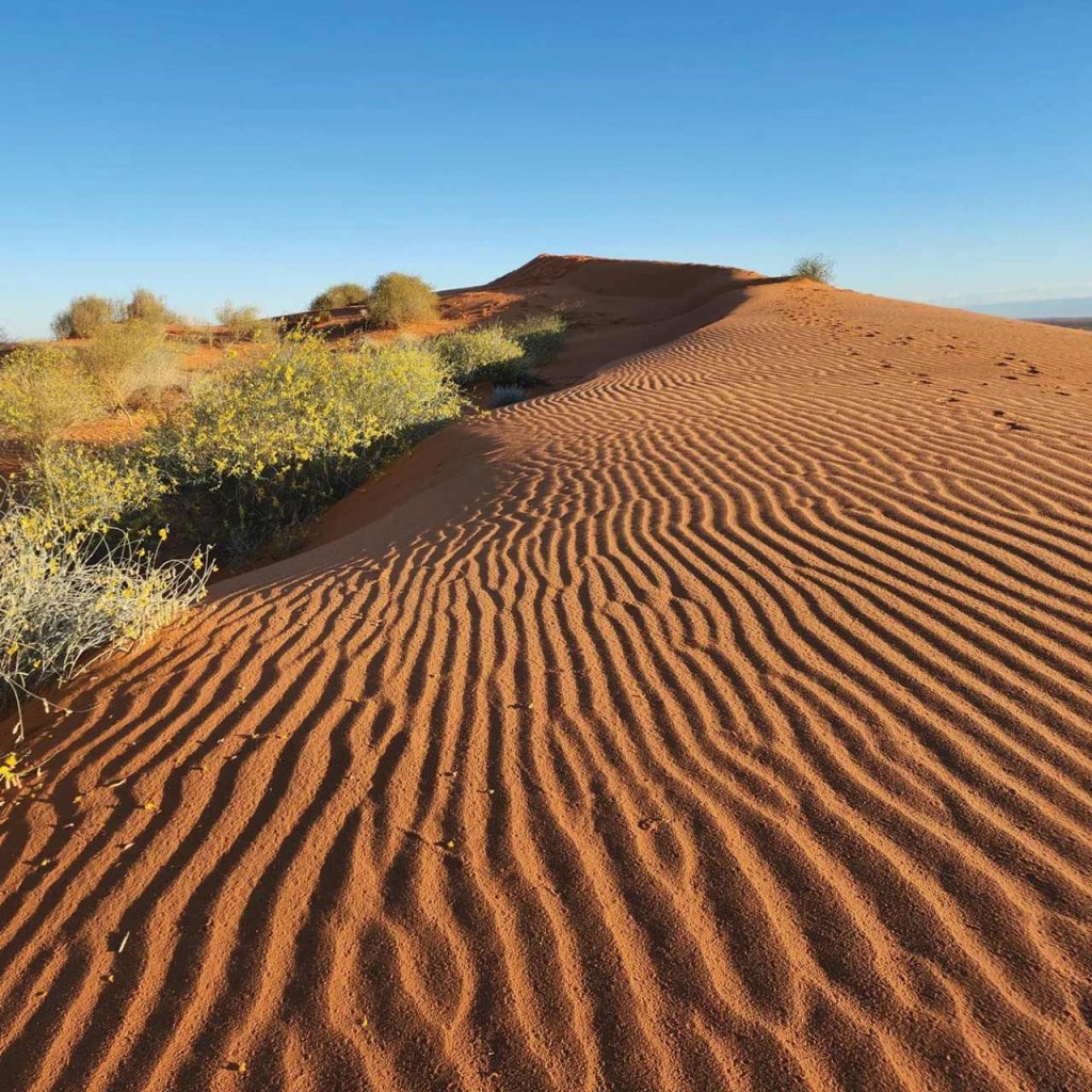 Discover Australia with Travel West - Market Magazine